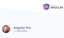 Angular Pro by ultimatecourses.com