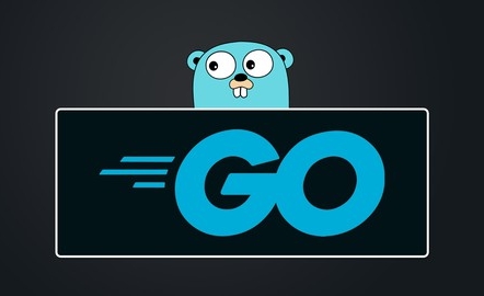 Go - The Complete Guide by Academind Pro