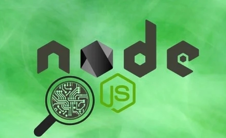 NodeJS Internals and Architecture by Hussein Nasser, udemy