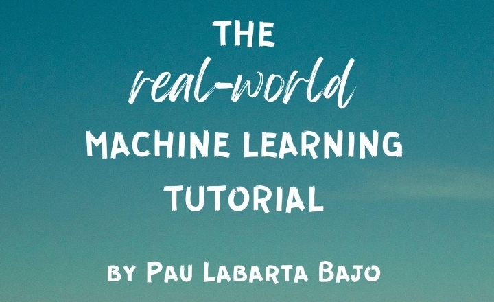 The Real-World ML Tutorial by Pau Labarta Bajo