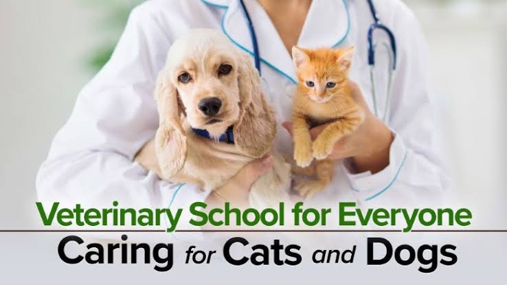 Veterinary School for Everyone: Caring for Cats and Dogs by Dr. Justine ...