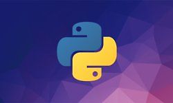 The Complete Python Programming Course for Beginners by codewithmosh (Mosh Hamedani)
